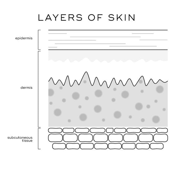 Skin Explained – Medik8 Cyprus